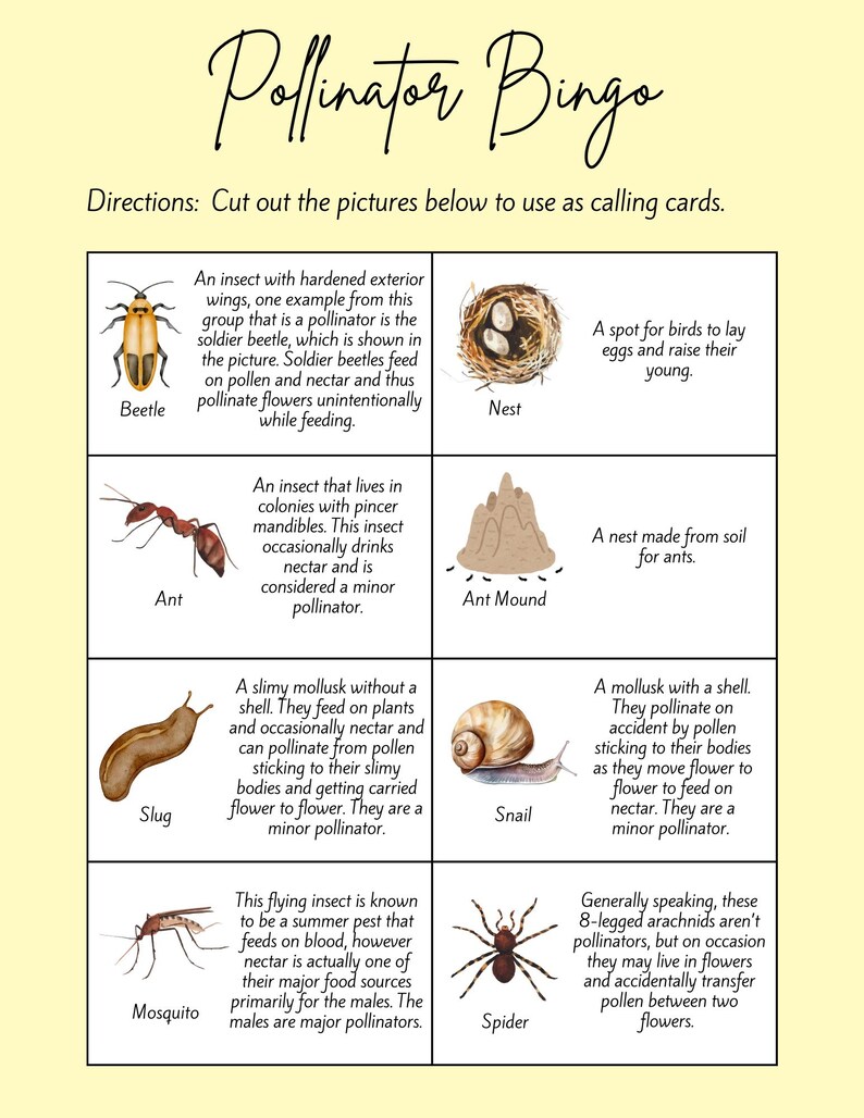 Pollinator Bingo- 35 Unique Cards, Summer Activity - Etsy
