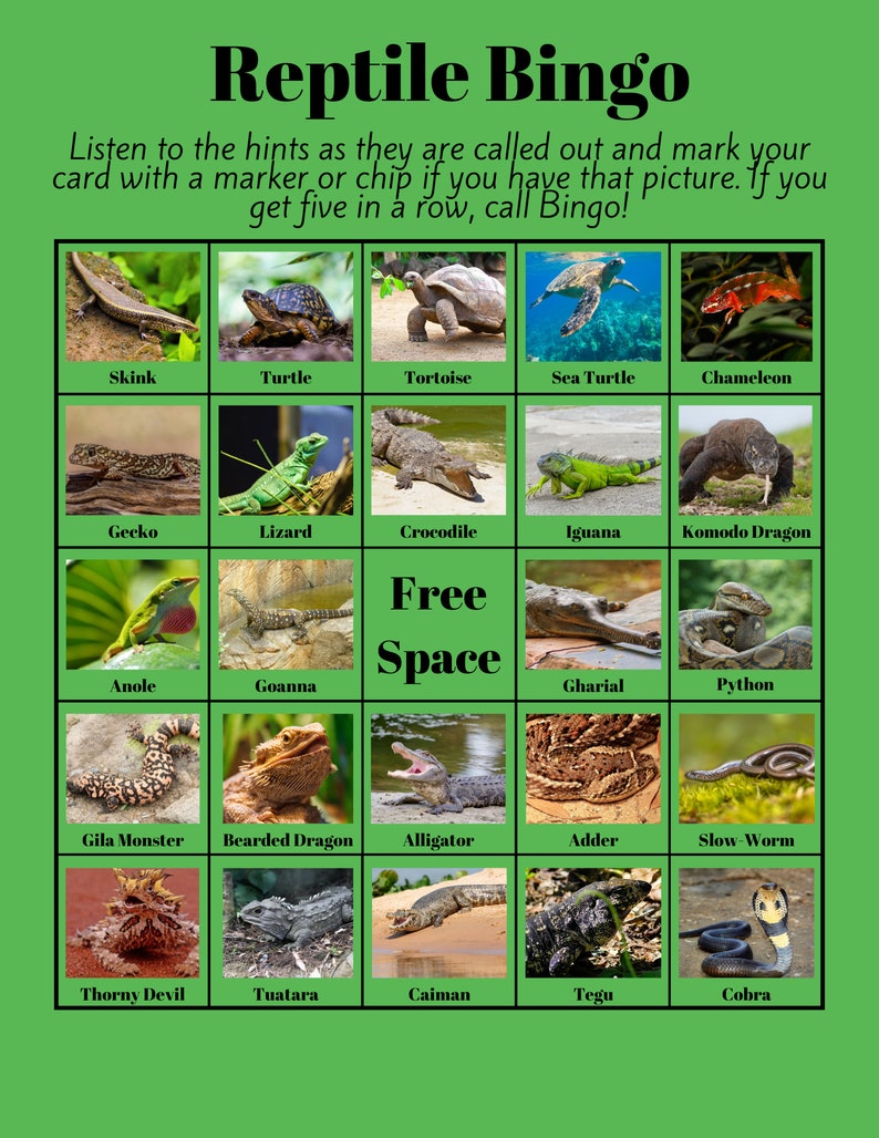 Reptile Bingo (35 Cards) - Etsy