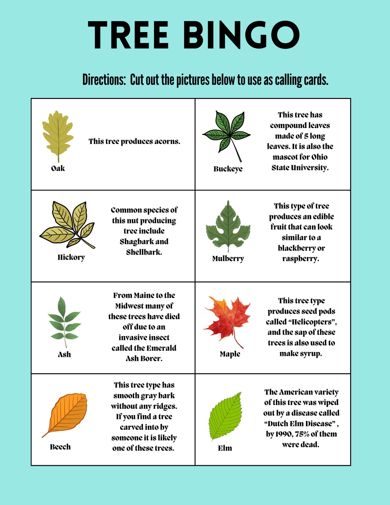 Tree Bingo (35 Cards) - Etsy