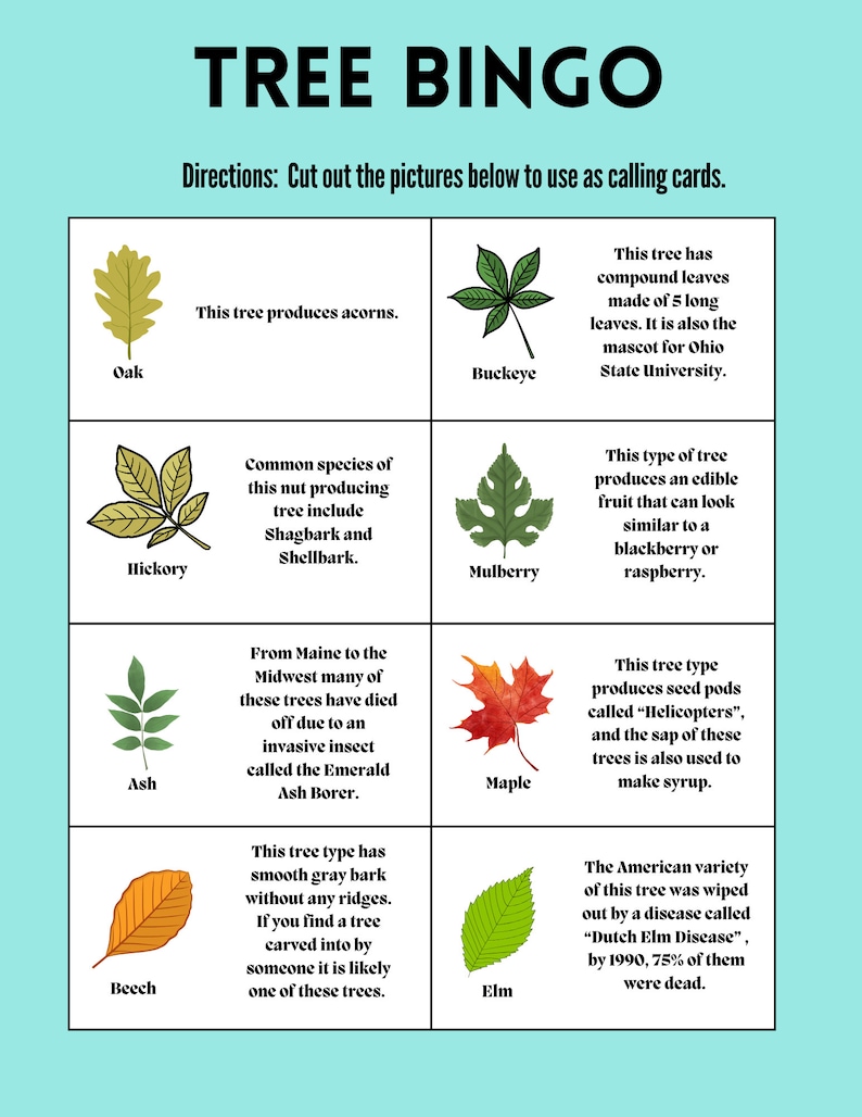 Tree Bingo (35 Cards) - Etsy