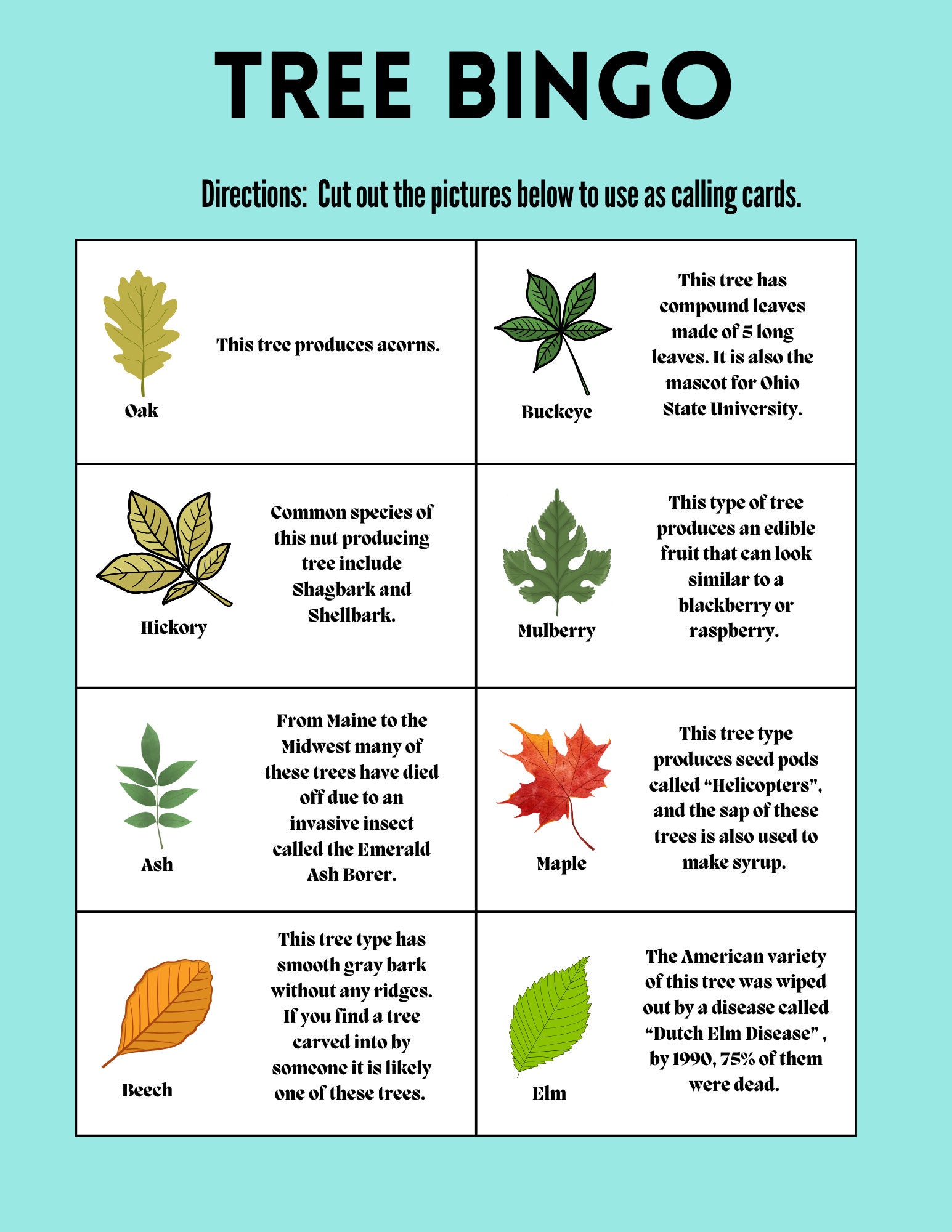 Tree Bingo (35 Cards) - Etsy