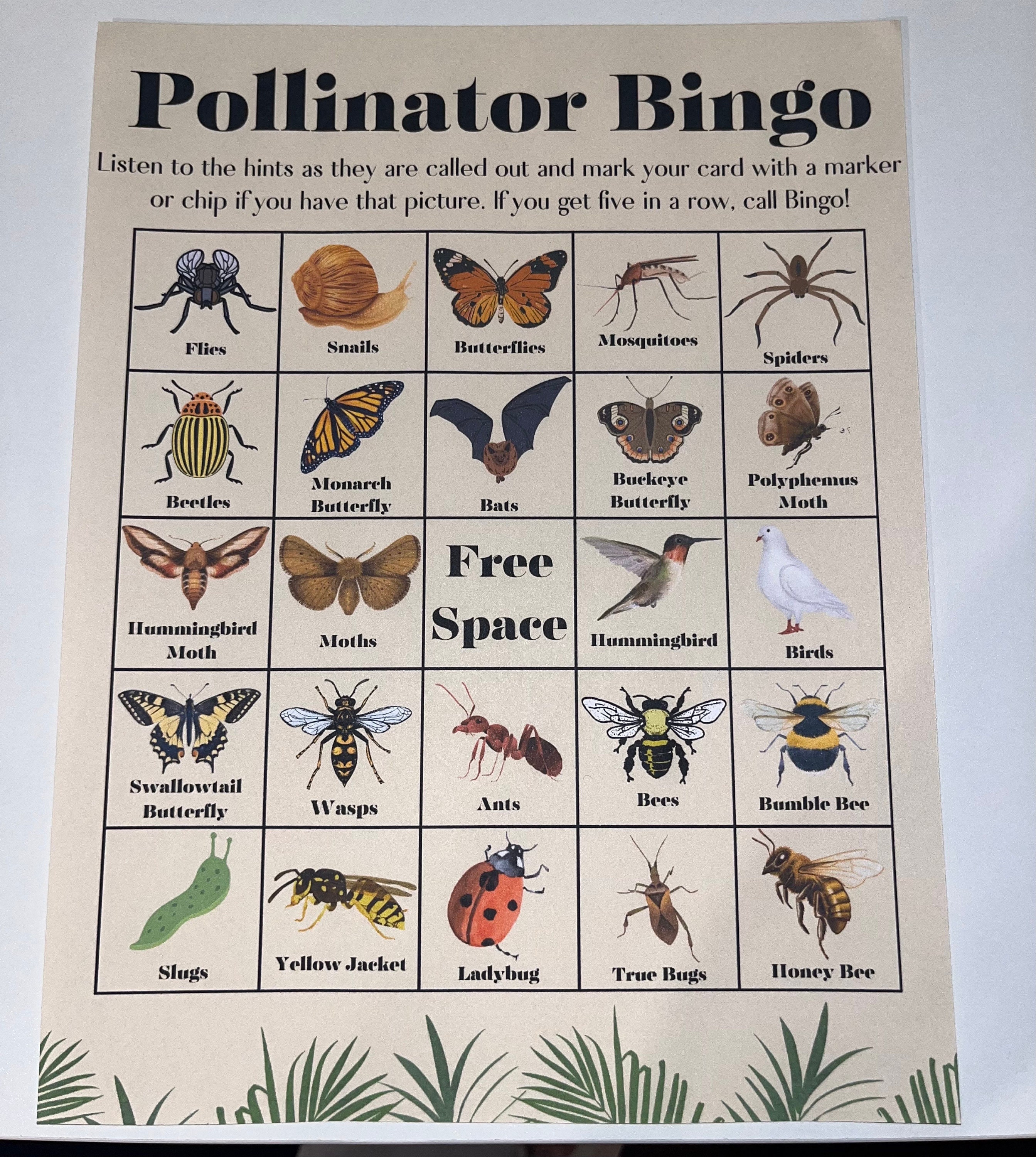 Pollinator Bingo (35 Cards) - Etsy