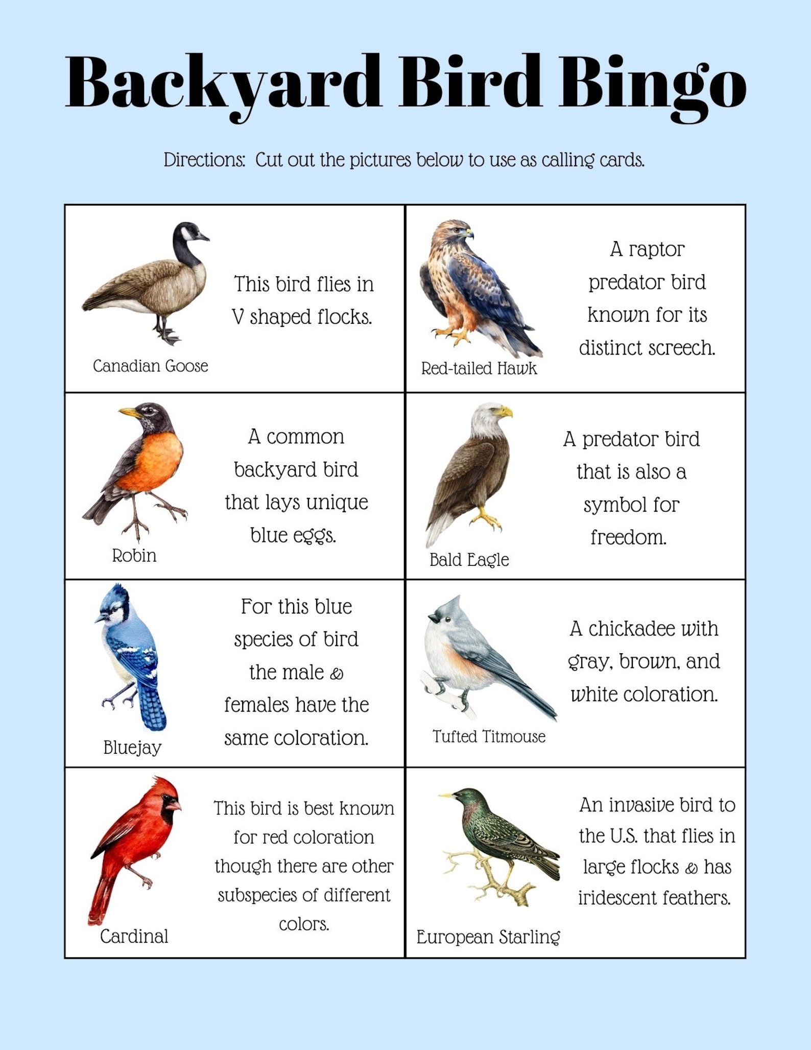 Backyard Bird Bingo (35 Unique Cards) - Etsy