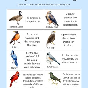 Backyard Bird Bingo (35 Unique Cards) - Etsy