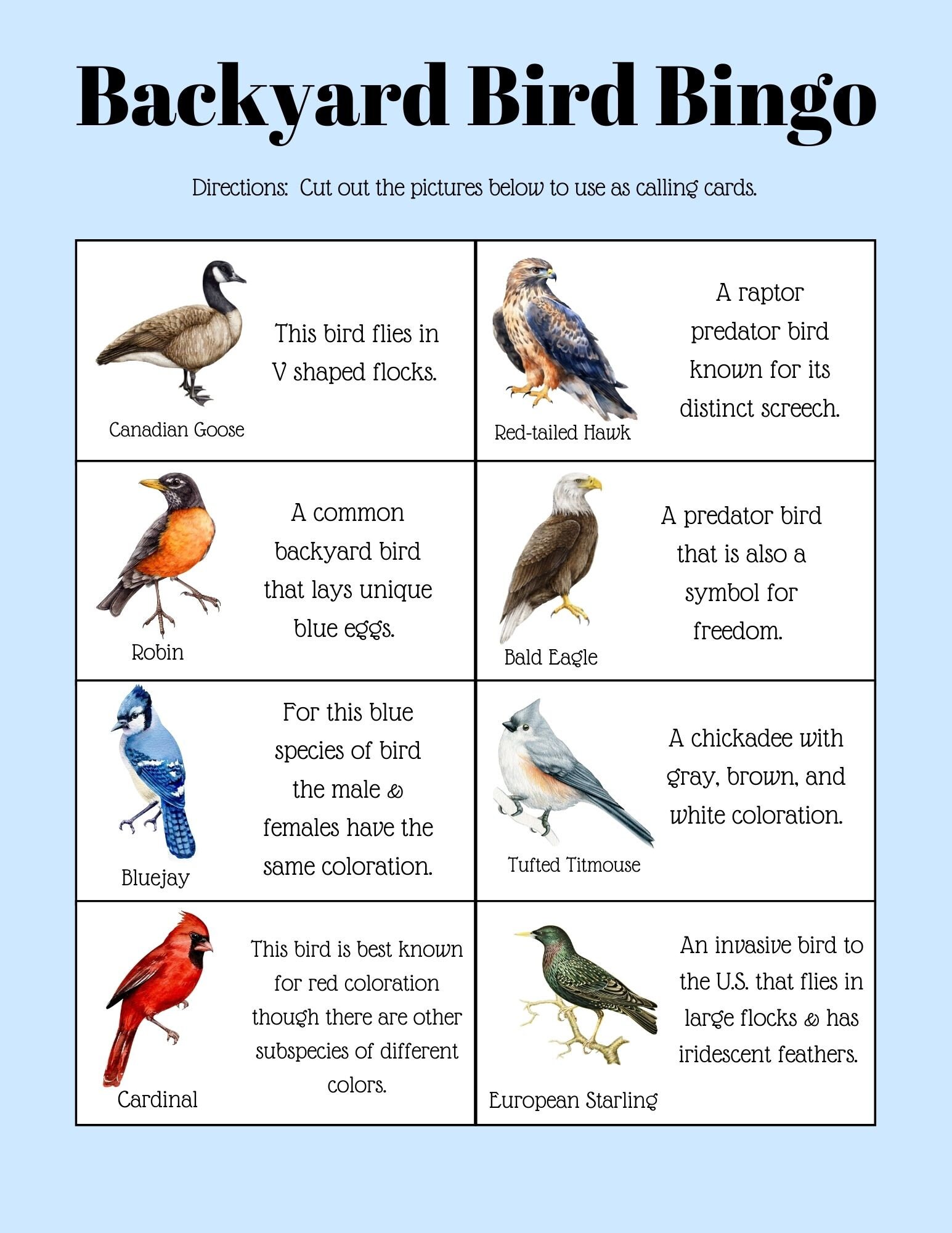 Backyard Bird Bingo (35 Unique Cards) - Etsy