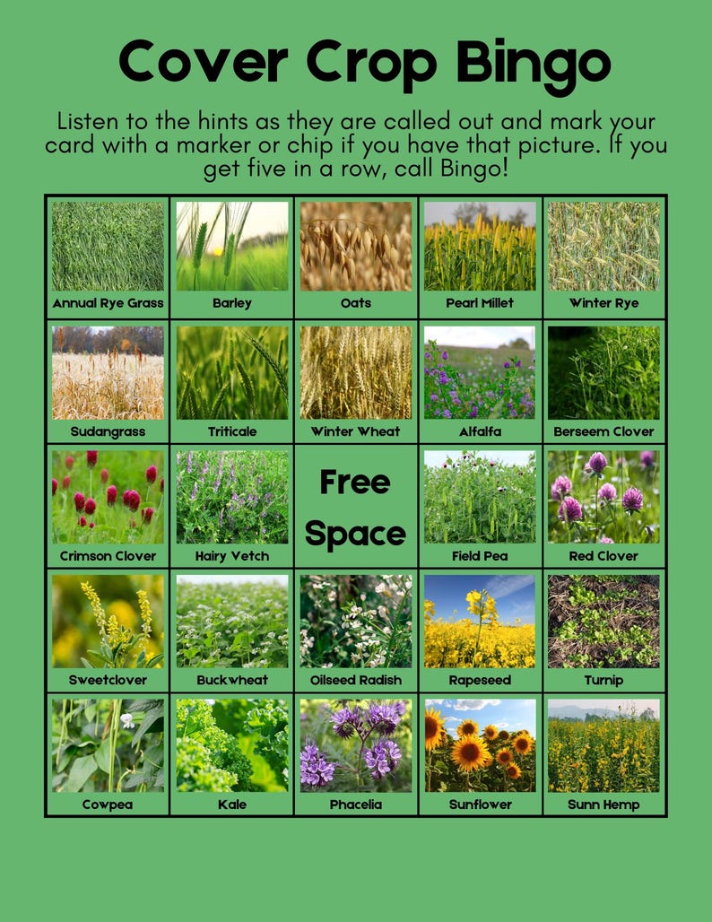 Cover Crop Bingo- 35 Unique Cards With Hints for Each Picture - Etsy