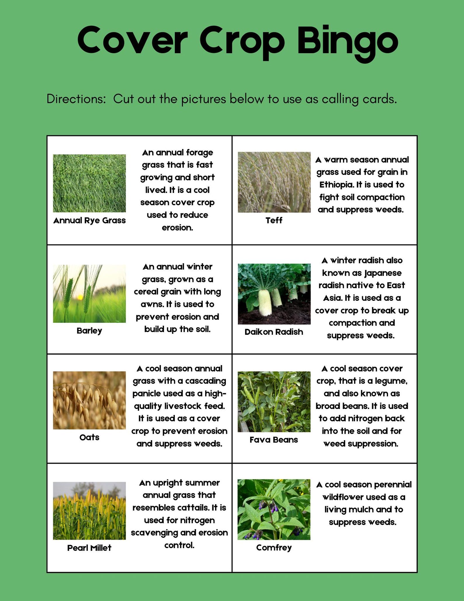 Cover Crop Bingo- 35 Unique Cards With Hints for Each Picture - Etsy