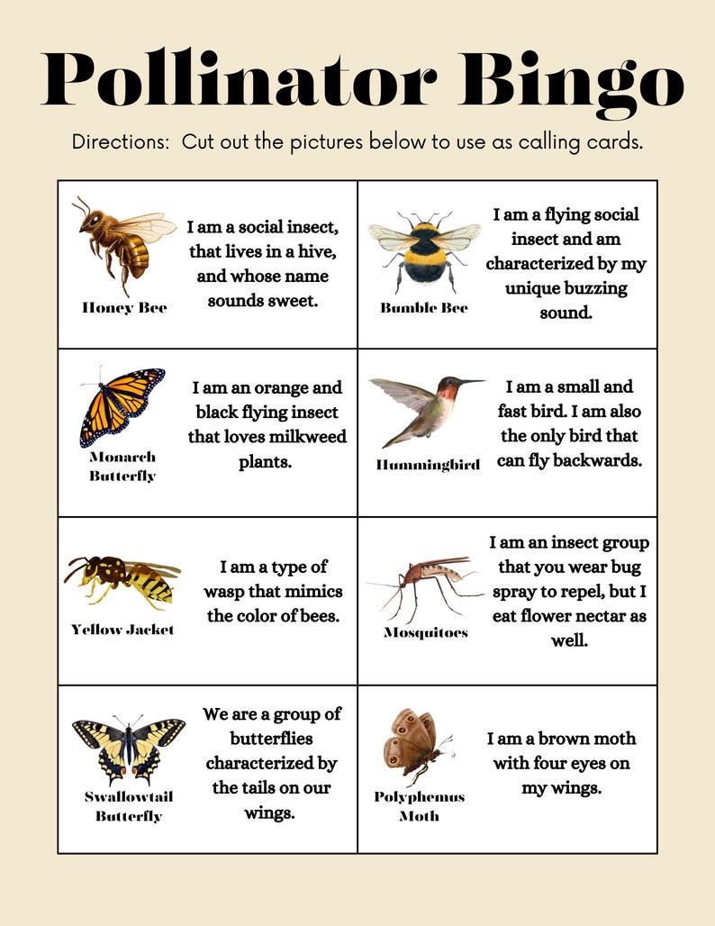 Pollinator Bingo (35 Cards) - Etsy