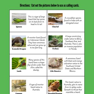 Reptile Bingo (35 Cards) - Etsy