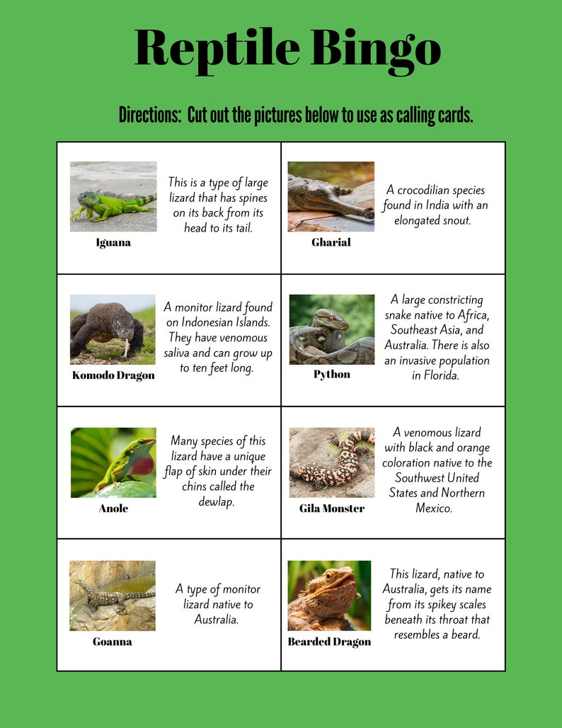 Reptile Bingo (35 Cards) - Etsy
