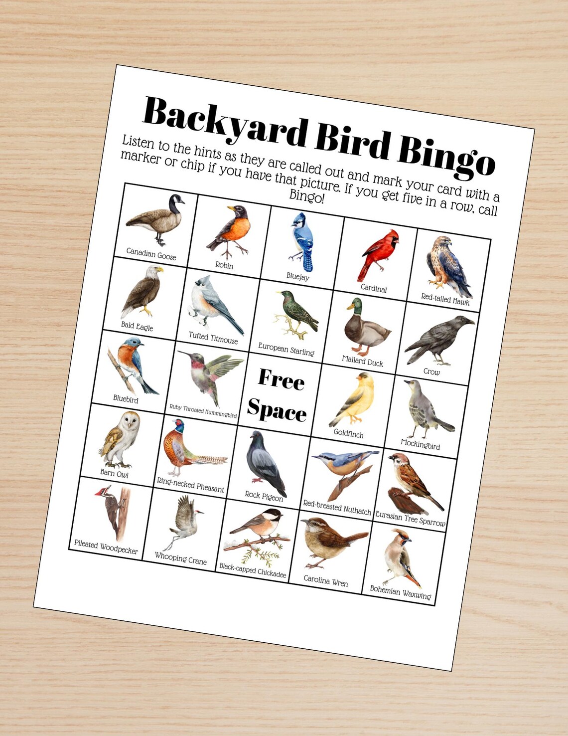 Backyard Bird Bingo (35 Unique Cards) - Etsy