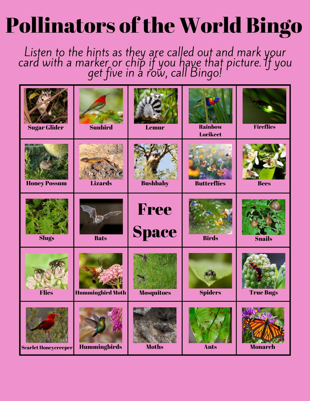 Pollinators of the World Bingo (35 Unique Cards) - Etsy