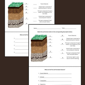 Introduction to Soils Worksheets - Etsy