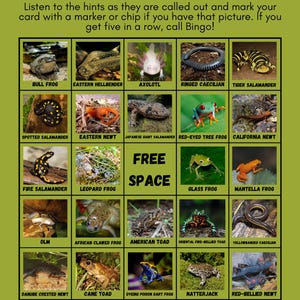 Amphibian Bingo- 35 Unique Cards - Etsy