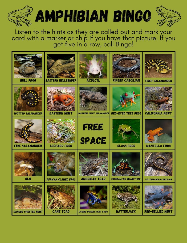 Amphibian Bingo- 35 Unique Cards - Etsy