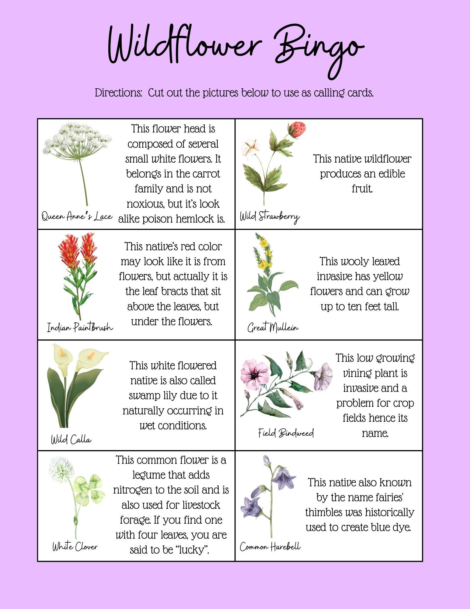Wildflower Bingo (35 Unique Cards) - Etsy