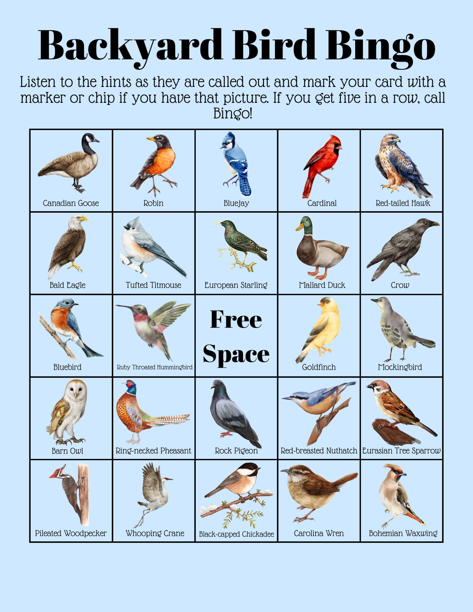 Backyard Bird Bingo (35 Unique Cards) - Etsy