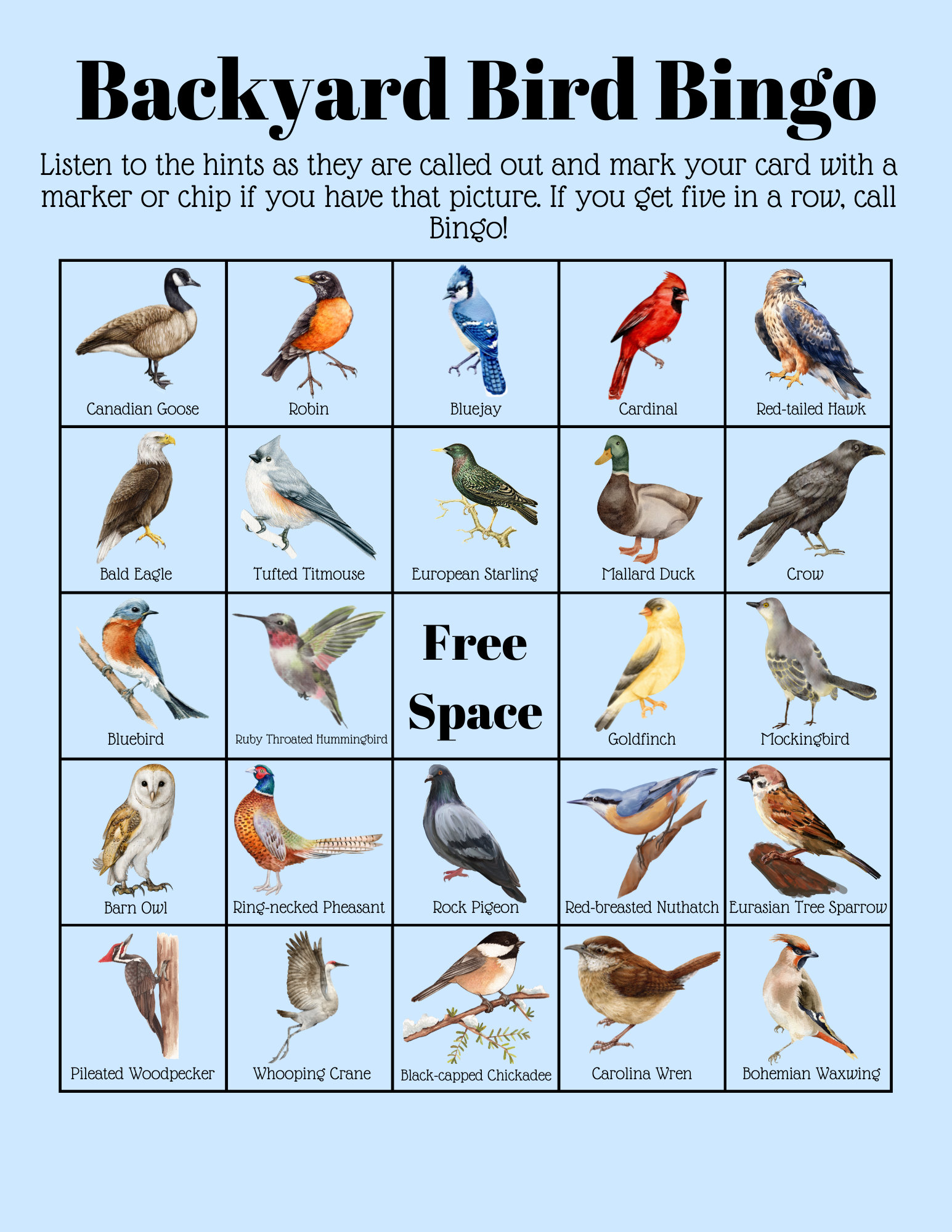 Backyard Bird Bingo (35 Unique Cards) - Etsy