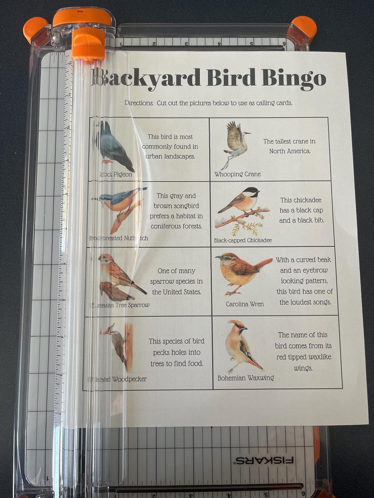 Backyard Bird Bingo (35 Unique Cards) - Etsy