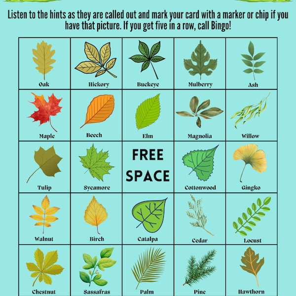 Nature Facts of the Day - Etsy