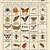 Pollinator Bingo (35 Cards) - Etsy Canada