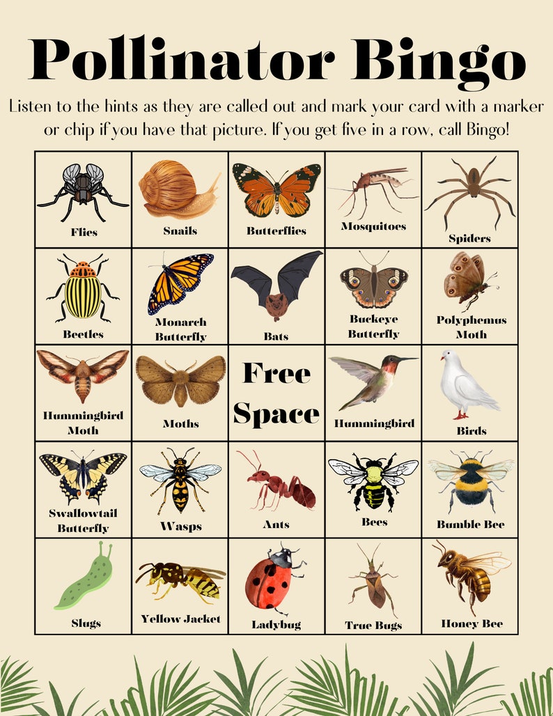 Pollinator Bingo (35 Cards) - Etsy