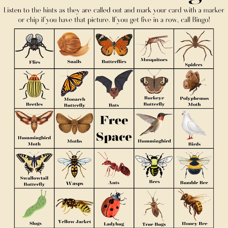 Pollinator Education - Etsy