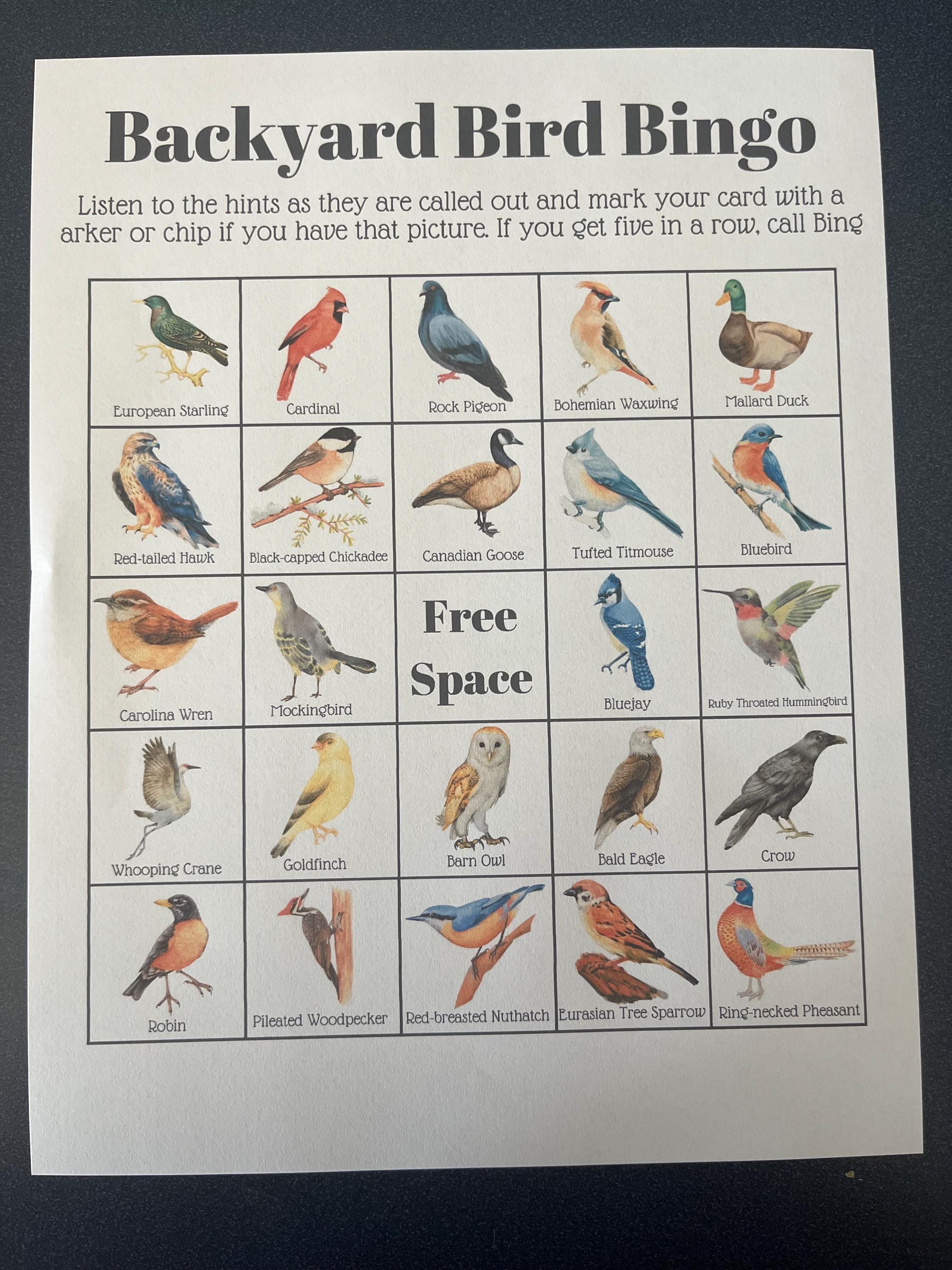 Backyard Bird Bingo (35 Unique Cards) - Etsy
