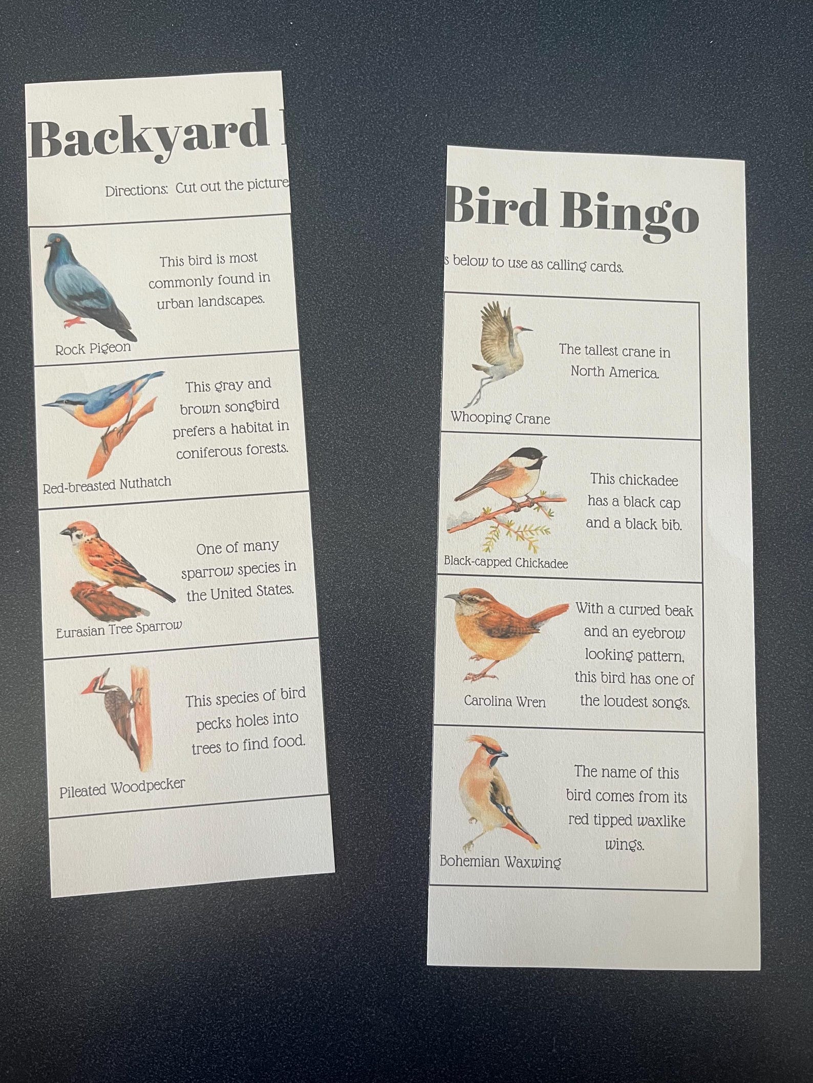 Backyard Bird Bingo (35 Unique Cards) - Etsy
