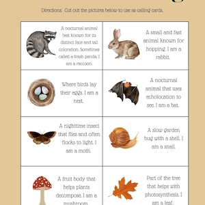 Woodland Bingo (35 Unique Cards) - Etsy