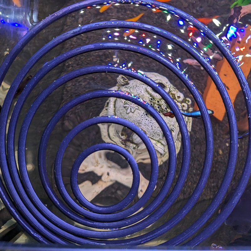 Aquarium Floating Ring - Etsy