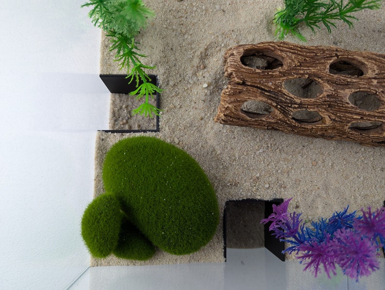 Corner Aquarium and Terrarium Tunnel for Betta, Plecos, Shrimps ...