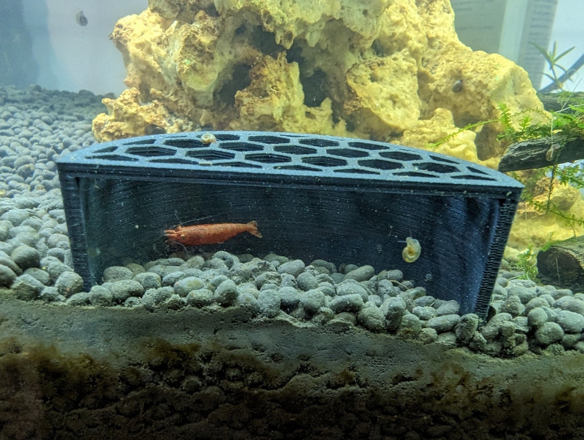 Shrimp Cave - Shrimp Hide - Shrimp Shelter - Shrimp Breeding Tunnel ...