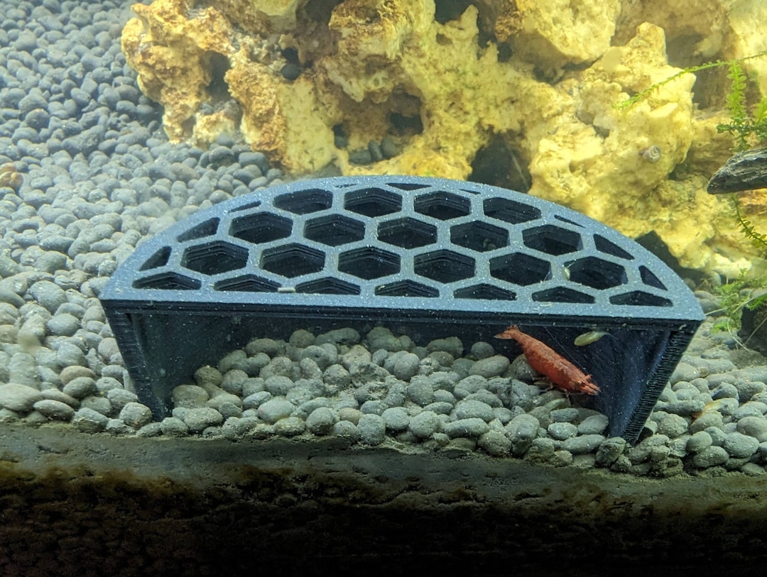 Shrimp Cave Shrimp Hide Shrimp Shelter Shrimp Breeding Tunnel Free ...
