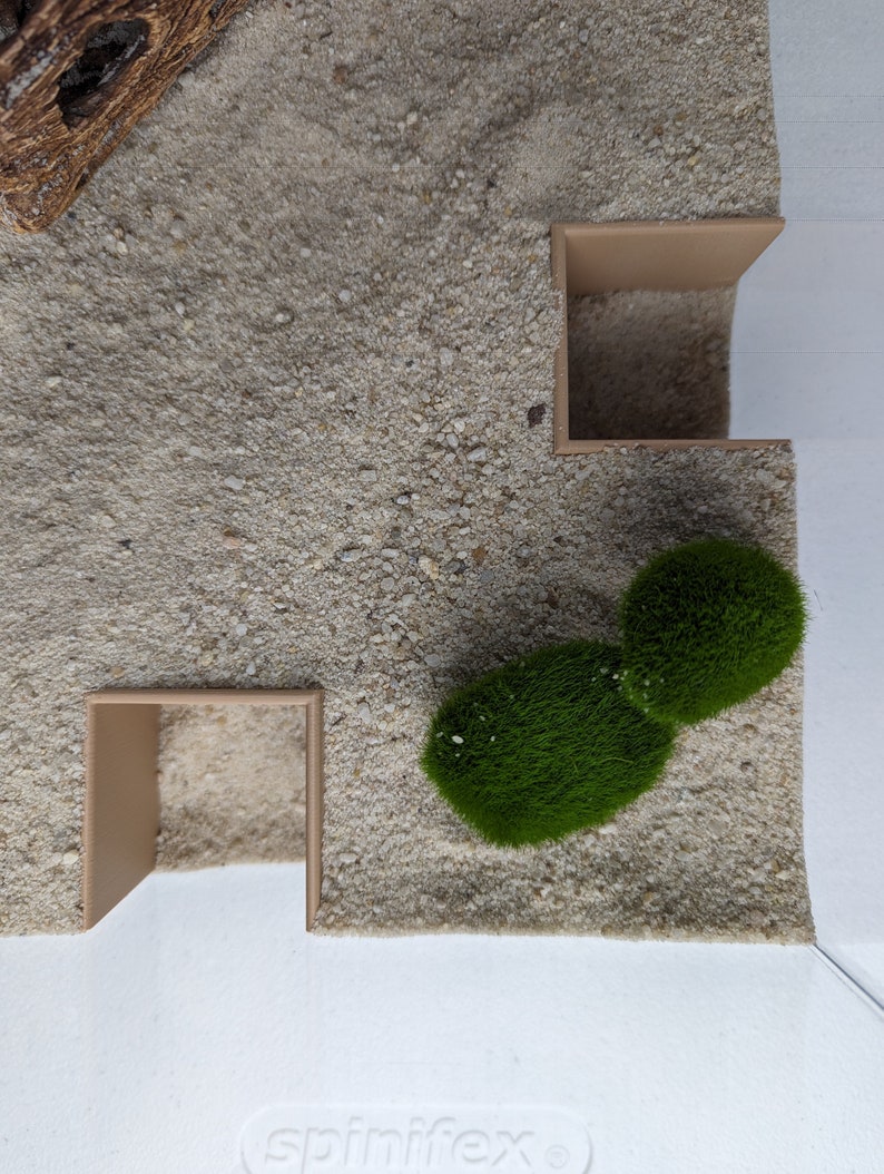 Corner Aquarium and Terrarium Tunnel for Betta, Plecos, Shrimps ...