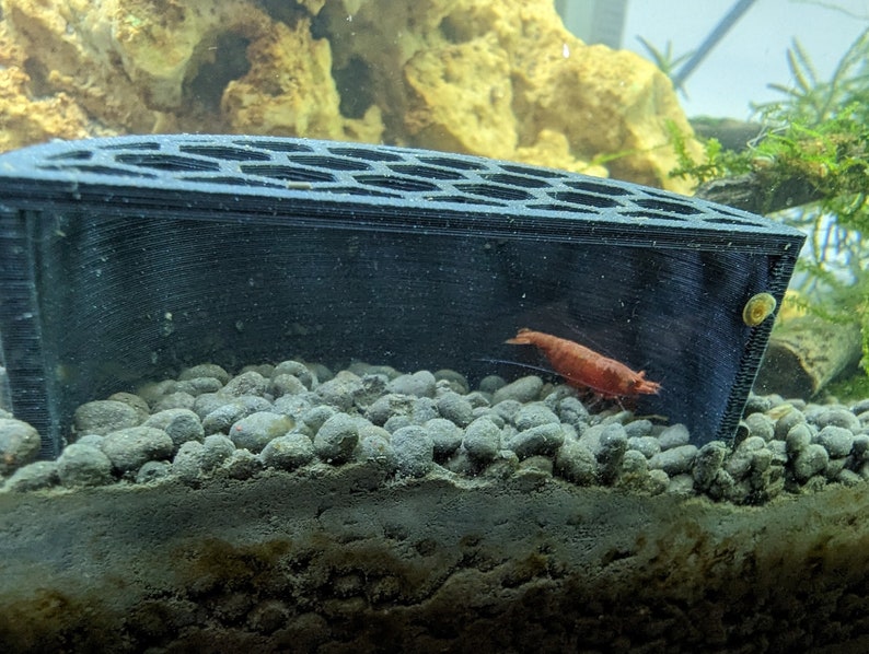 Shrimp Cave - Shrimp Hide - Shrimp Shelter - Shrimp Breeding Tunnel ...