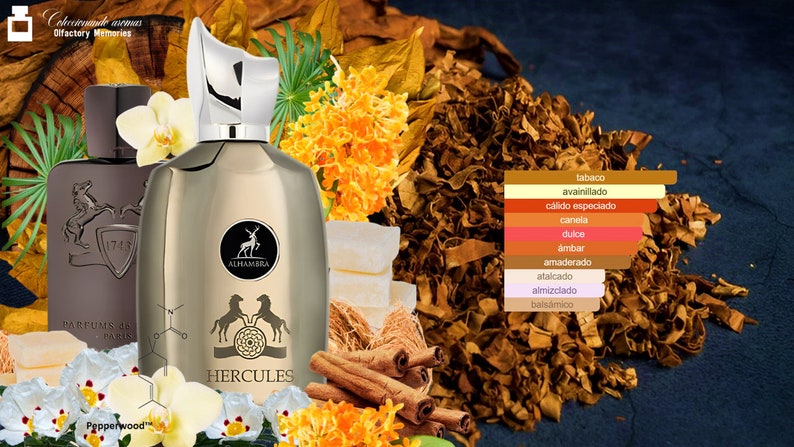 Hercules by Alhambra Eau De Perfume - Etsy