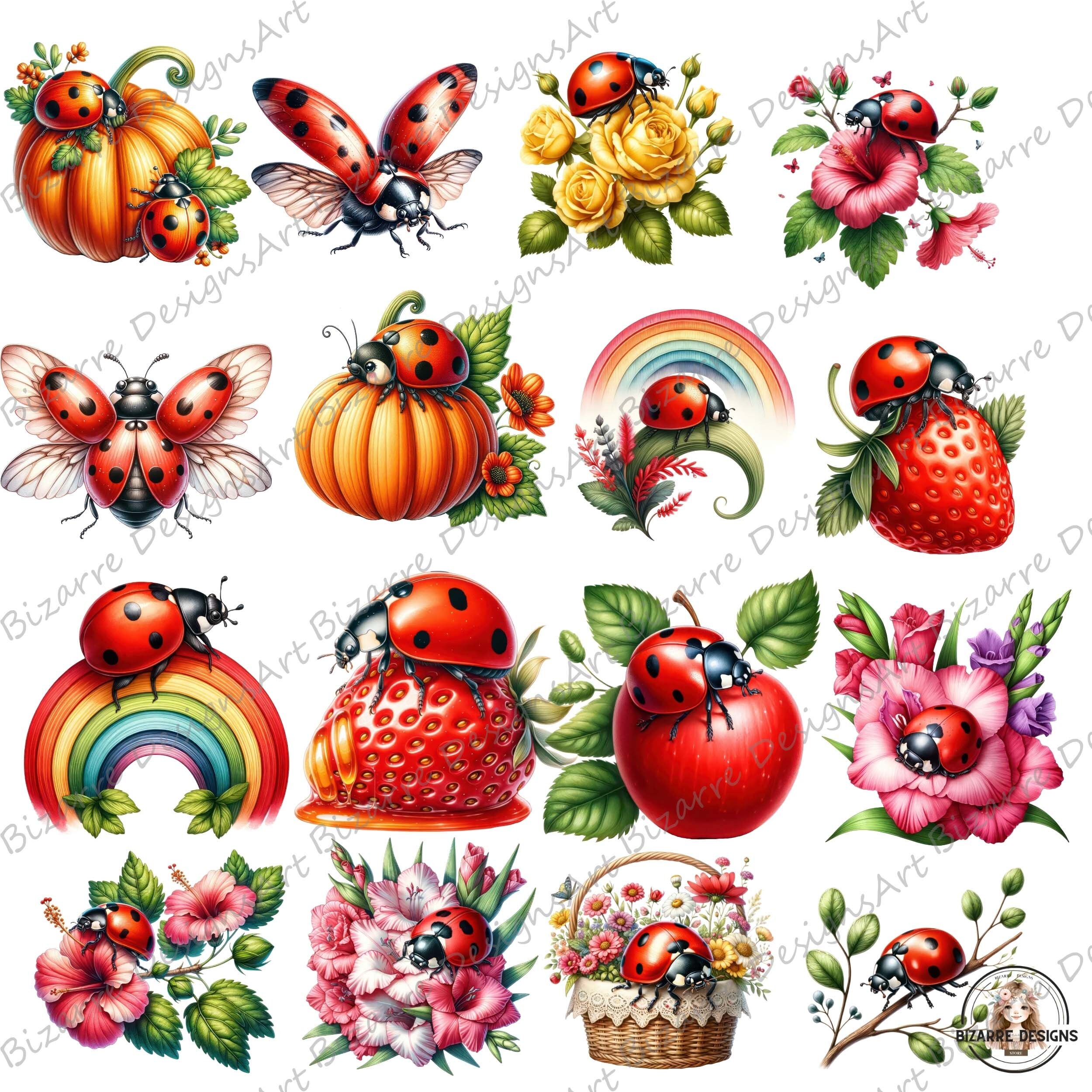 Ladybug Clipart, Cute Ladybug Png, Bug Clipart, Love Bug Clipart ...