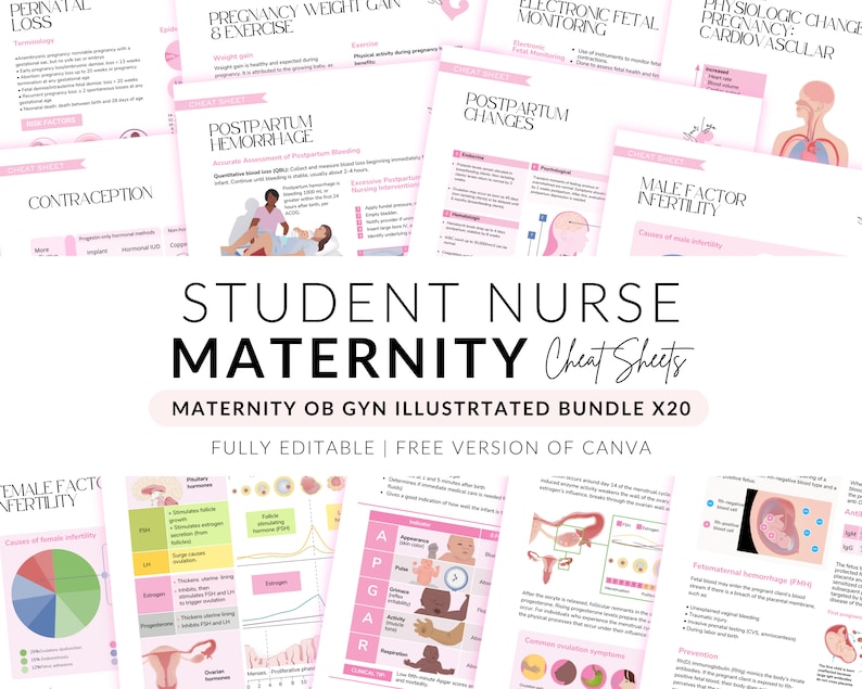 Maternity Nurse Cheat Sheet Bundle: OB GYN Study Guide (edit in Canva ...