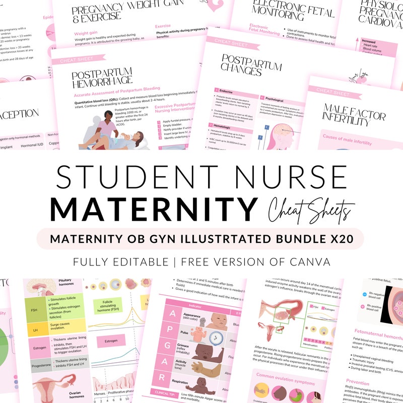 Maternity Study Guide - Etsy
