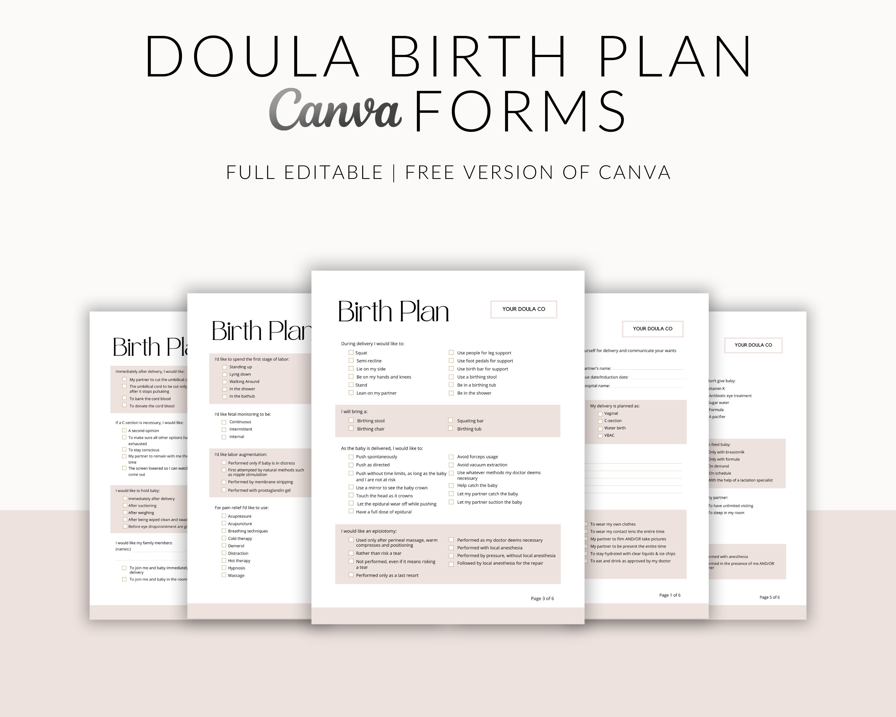 Editable Birth Plan Template: Birthing Preferences Checklist (canva ...