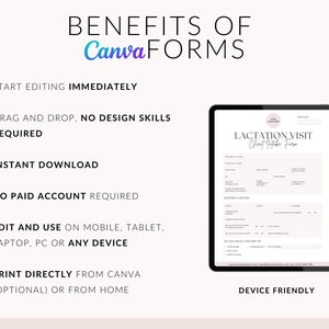 Lactation Consultant Client Intake Form: Editable Breastfeeding Support ...