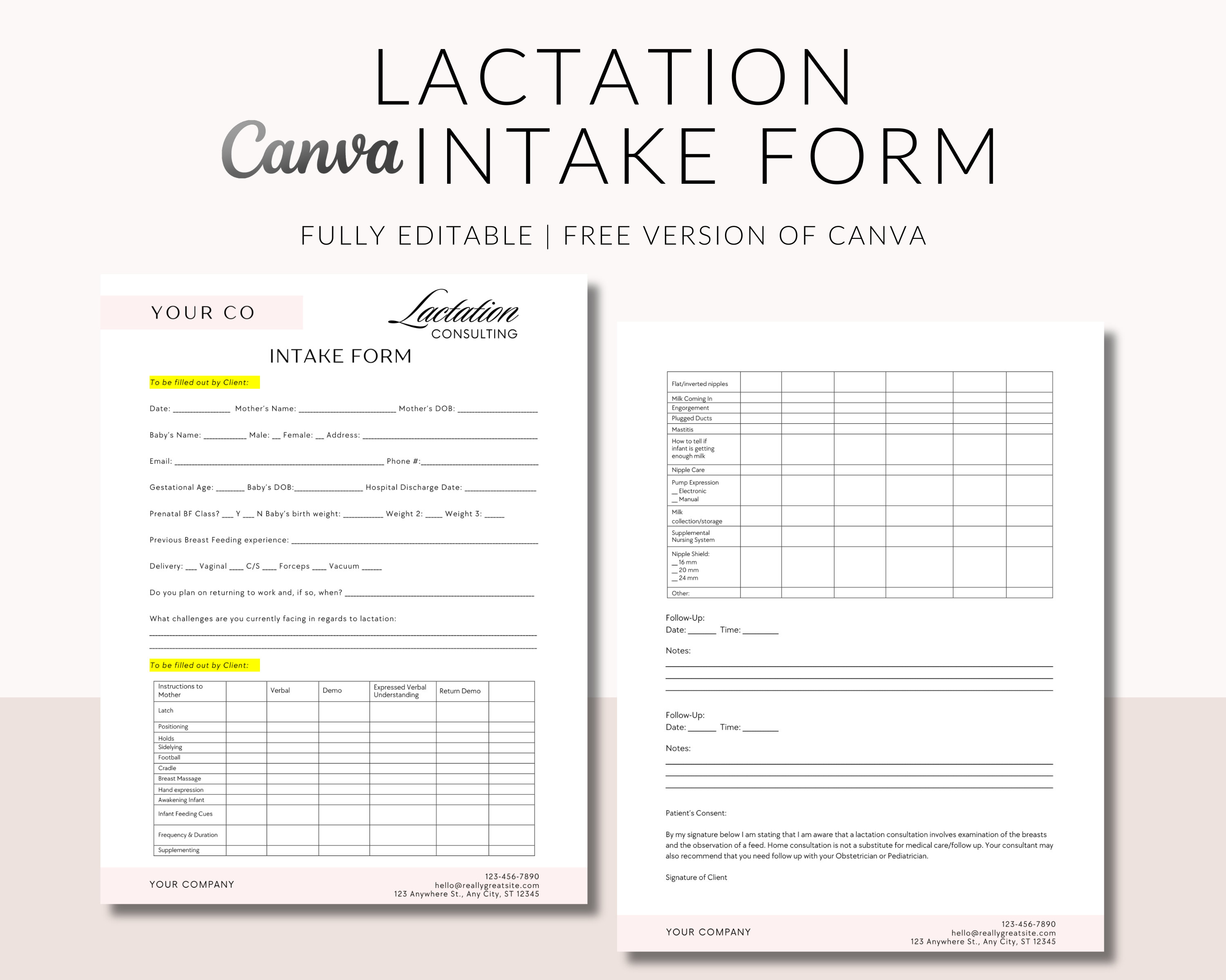 Lactation Consultation Intake Form: Editable Doula Forms (canva ...
