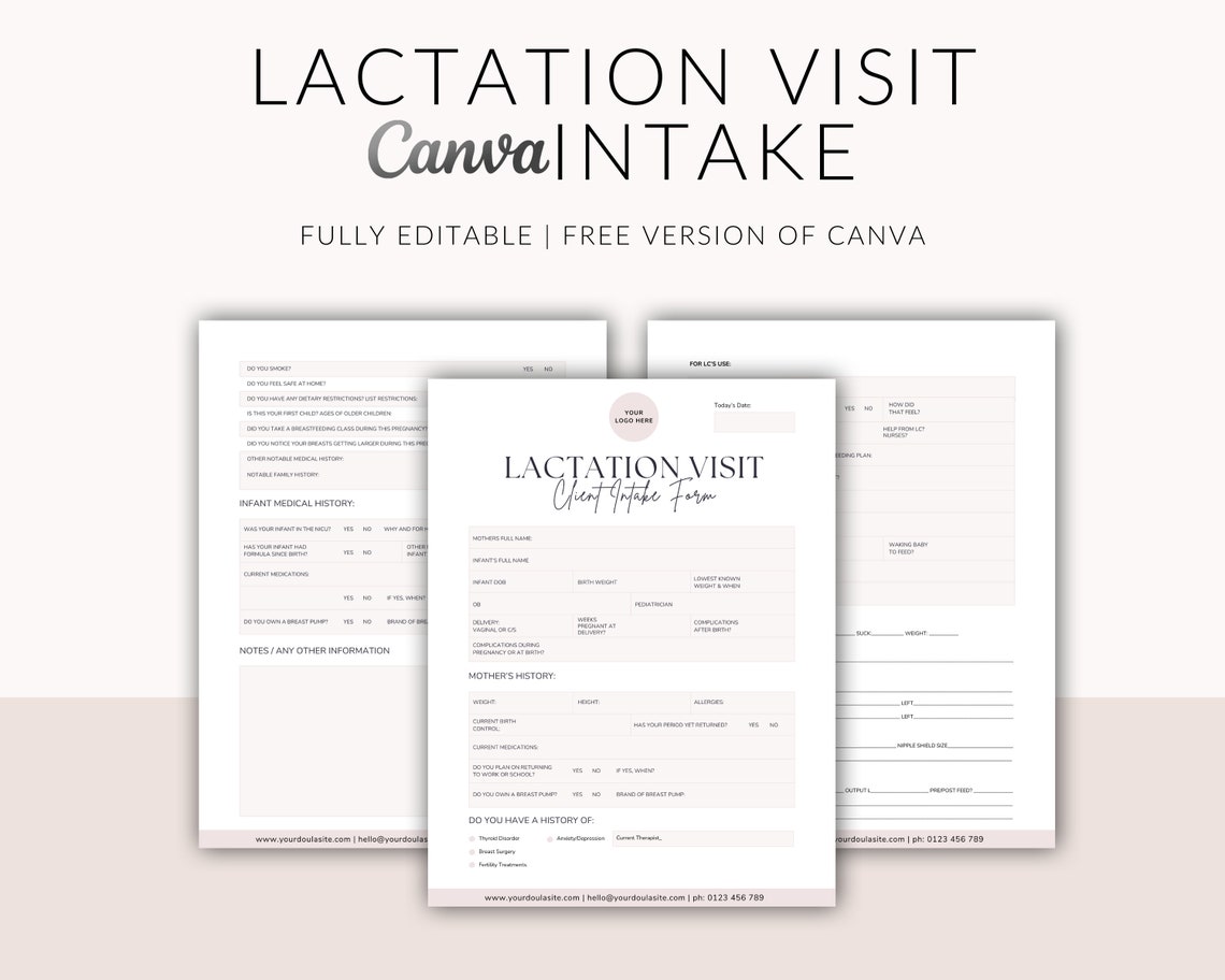 Lactation Consultant Client Intake Form: Editable Breastfeeding Support ...