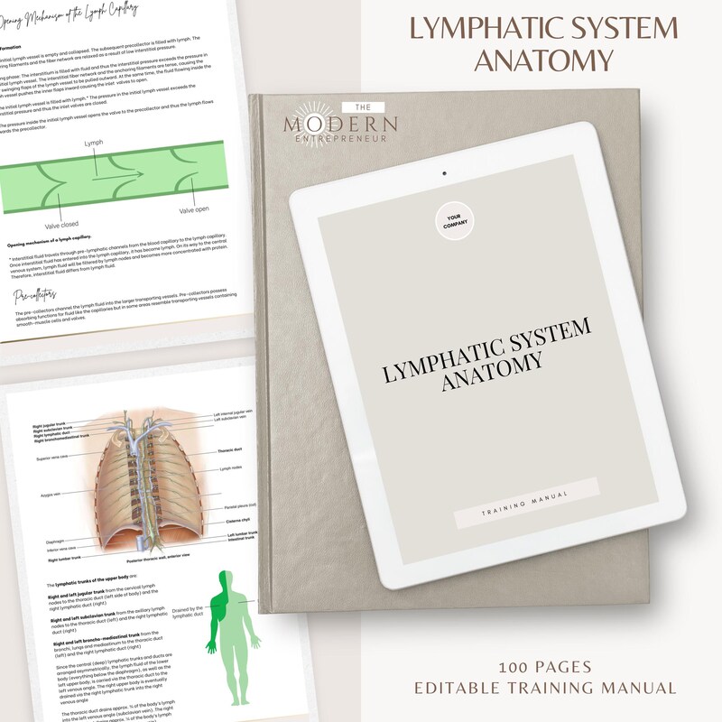 Lymphatic System Anatomy - Etsy