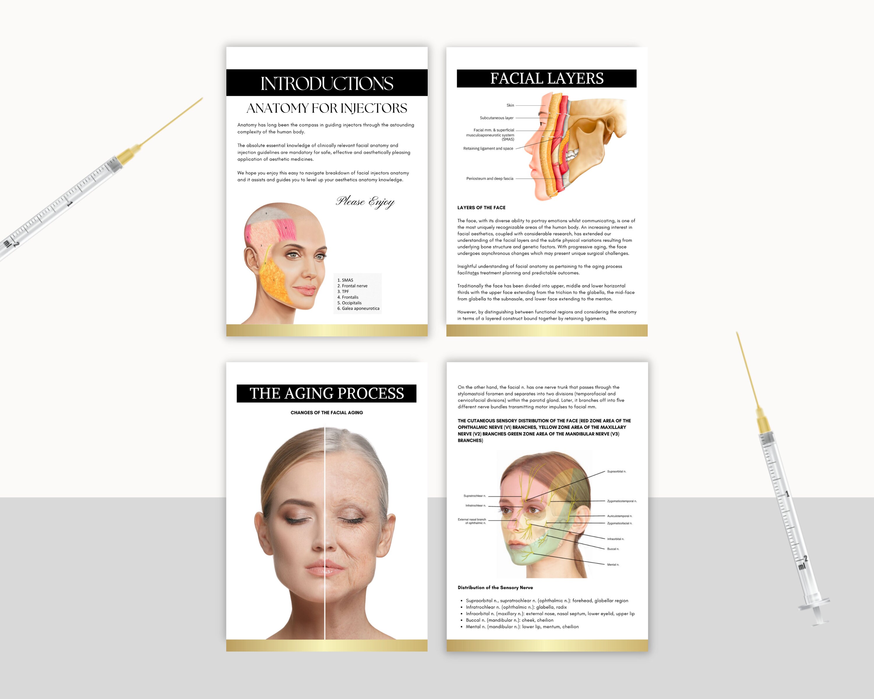 Facial Anatomy Injectors at Victoria Mcbrien blog