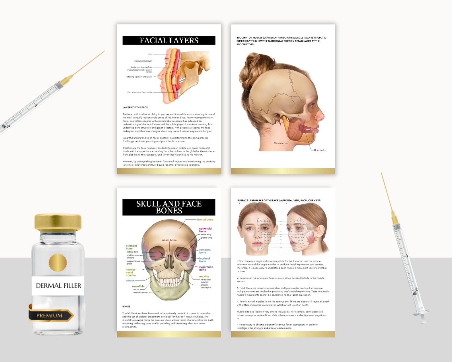 Facial Anatomy Injector Training Manual: Aesthetics Course (canva Edit ...