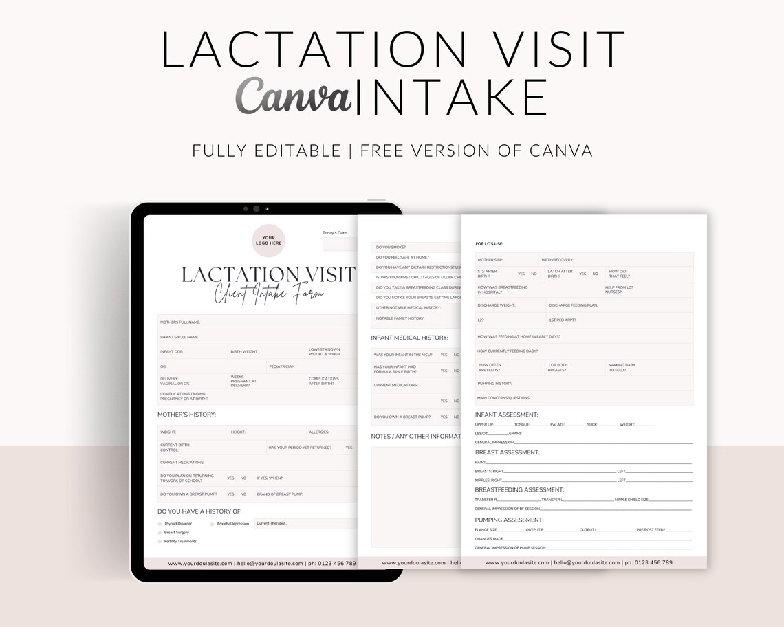 Lactation Consultant Client Intake Form: Editable Breastfeeding Support ...