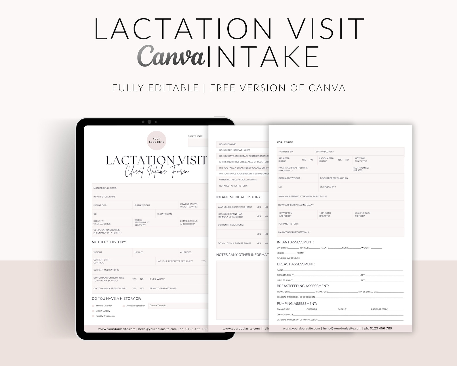 Lactation Consultant Client Intake Form: Editable Breastfeeding Support ...