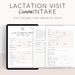 Lactation Consultant Client Intake Form: Editable Breastfeeding Support ...